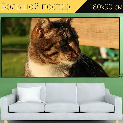 Большой постер "Кот, сад, домашняя кошка" 180 x 90 см. для интерьера
