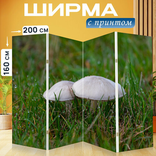 Ширма перегородка с принтом "Лесной гриб, грибы, ядовитый" на холсте - 200x160 см. для зонирования, раскладная