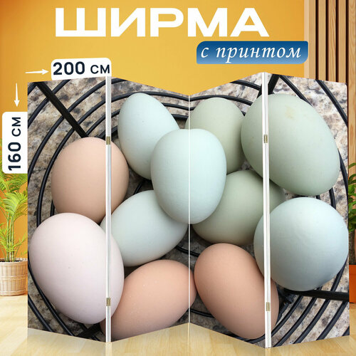 Ширма перегородка с принтом "Яйца, ферма, свежий" на холсте - 200x160 см. для зонирования, раскладная