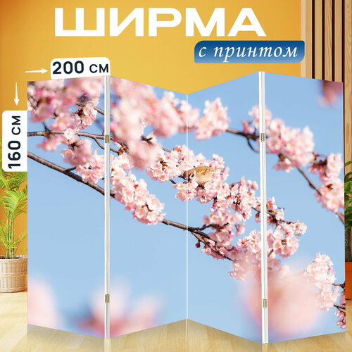 Ширма перегородка с принтом "Цветы, вишни в цвету, филиал" на холсте - 200x160 см. для зонирования, раскладная