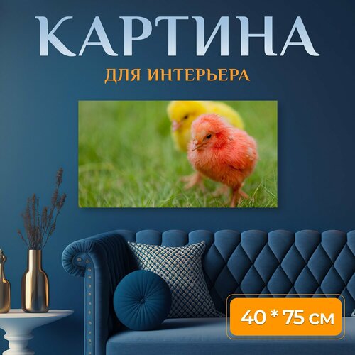 Картина на холсте "Цыплята, красочный, природа" на подрамнике 75х40 см. для интерьера