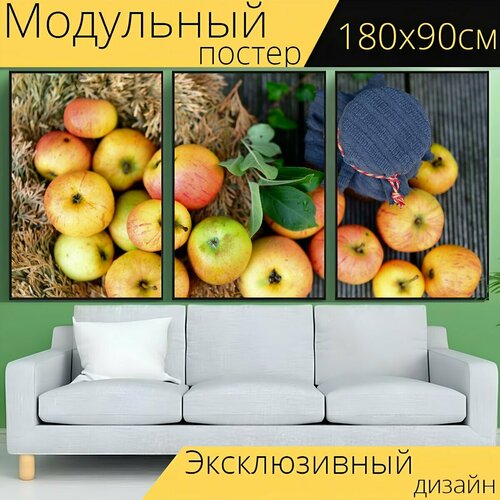Модульный постер "Яблоки, фрукты, варенье" 180 x 90 см. для интерьера