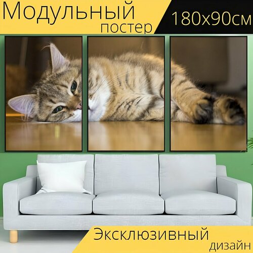 Модульный постер "Кошка, котенок, милый" 180 x 90 см. для интерьера