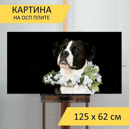 Картина на ОСП 125х62 см. "Собака, млекопитающее, портрет" горизонтальная, для интерьера, с креплениями