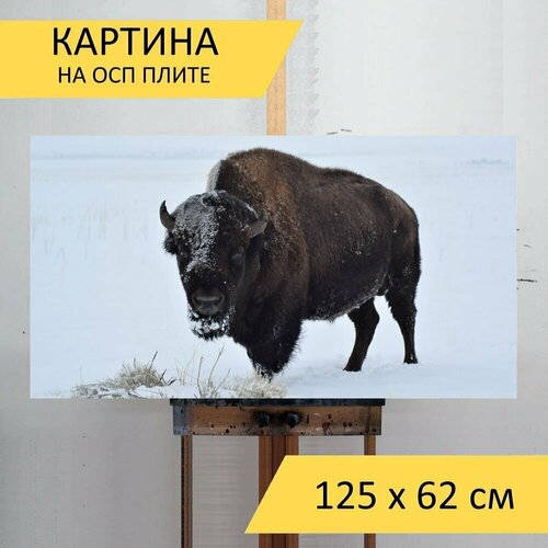 Картина на ОСП 125х62 см. "Зубр, буйвол, зима" горизонтальная, для интерьера, с креплениями