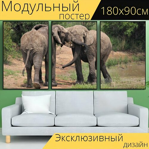 Модульный постер "Африканские слоны, бивни, все вместе" 180 x 90 см. для интерьера