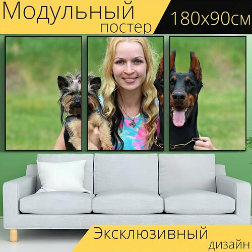 Модульный постер "Доберман, собак, дружба" 180 x 90 см. для интерьера