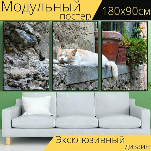 Модульный постер "Кот, спящая кошка, кошка спит" 180 x 90 см. для интерьера