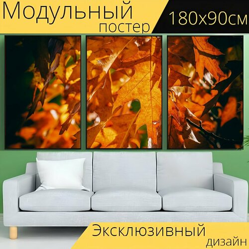 Модульный постер "Падение, осенние листья, листья" 180 x 90 см. для интерьера