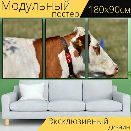 Модульный постер "Корова, говядина, крупный рогатый скот" 180 x 90 см. для интерьера