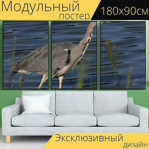 Модульный постер "Цапля, птица, животное" 180 x 90 см. для интерьера
