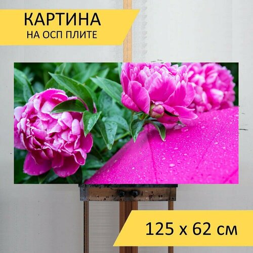 Картина на ОСП 125х62 см. "Пион, розовый, дождь" горизонтальная, для интерьера, с креплениями
