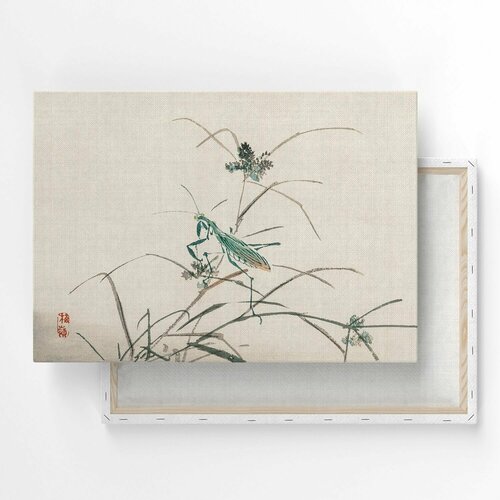 Картина на холсте, репродукция / Байрэй, Коно - Grasshopper / Размер 60 x 80 см