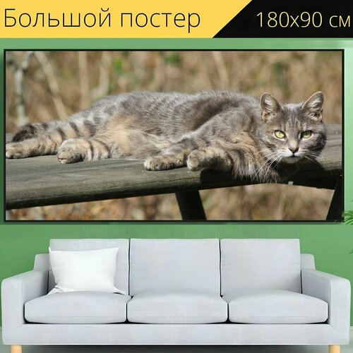Большой постер "Домашняя кошка, кошка, животные" 180 x 90 см. для интерьера