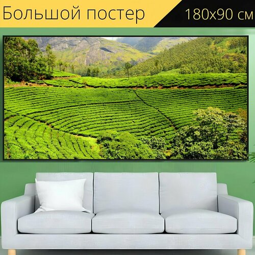 Большой постер "Чайная плантация, чайный сад, индия" 180 x 90 см. для интерьера