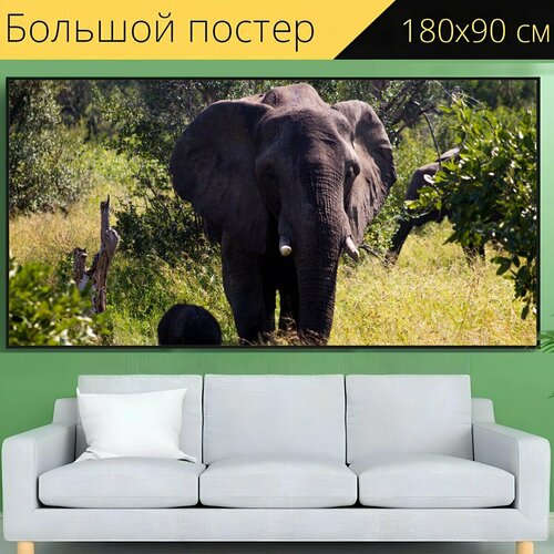 Большой постер "Слон, животное, африка" 180 x 90 см. для интерьера