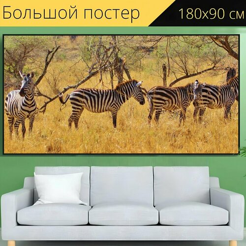 Большой постер "Зебра, животное, млекопитающее" 180 x 90 см. для интерьера