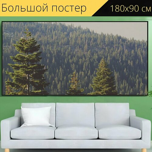 Большой постер "Деревья, лес, природа" 180 x 90 см. для интерьера