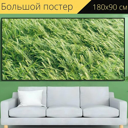 Большой постер "Рожь, поле, зерно" 180 x 90 см. для интерьера