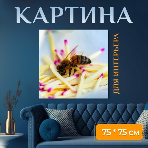 Картина на холсте "Пчела, цветочная пыльца, магнолия" на подрамнике 75х75 см. для интерьера