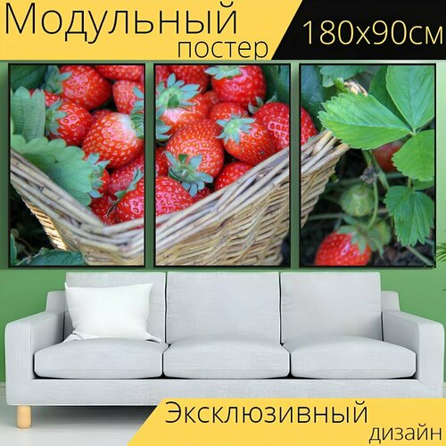 Модульный постер "Клубника, сад, фрукты" 180 x 90 см. для интерьера