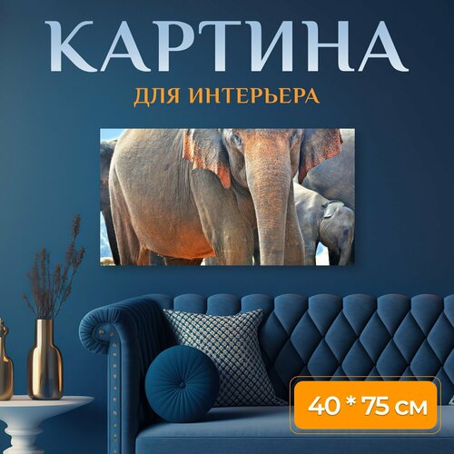 Картина на холсте "Индийский слон, слон, гигантский" на подрамнике 75х40 см. для интерьера