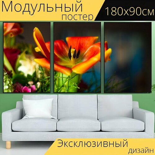 Модульный постер "Цветок, тюльпан, весна" 180 x 90 см. для интерьера