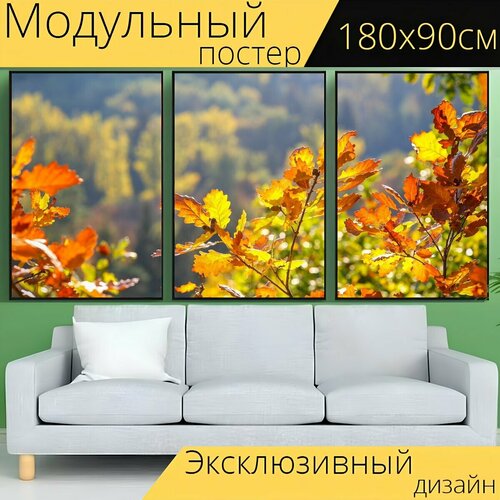 Модульный постер "Дубовые листья, падение, осенние листья" 180 x 90 см. для интерьера