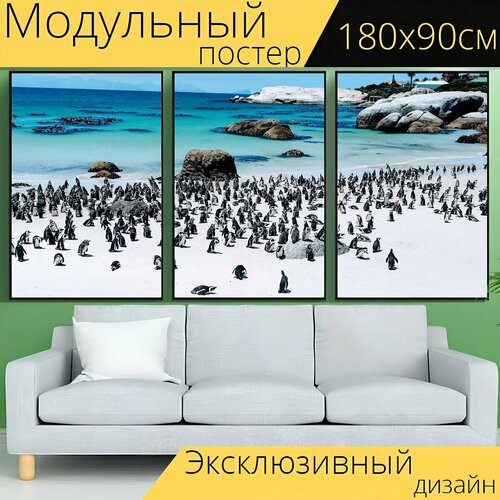 Модульный постер "Южная африка, пингвины, пляж валунов" 180 x 90 см. для интерьера