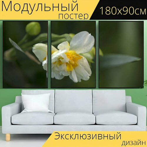 Модульный постер "Полевые цветы, белые цветки, цветущий" 180 x 90 см. для интерьера