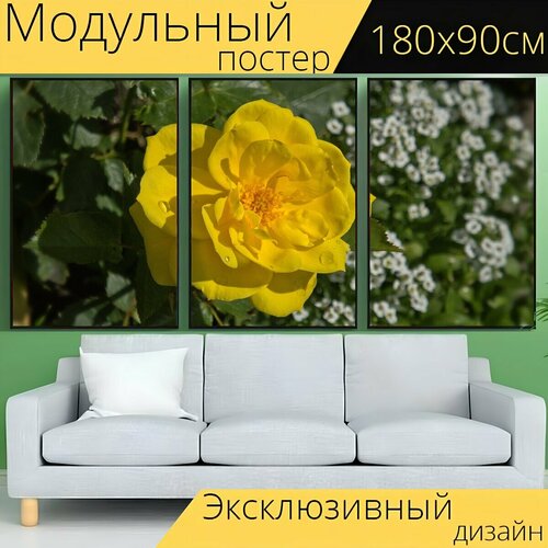 Модульный постер "Цветок, желтый, роза" 180 x 90 см. для интерьера