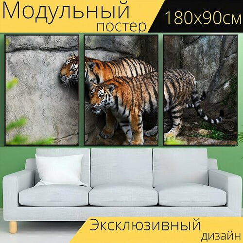 Модульный постер "Тигр, животное, хищники" 180 x 90 см. для интерьера