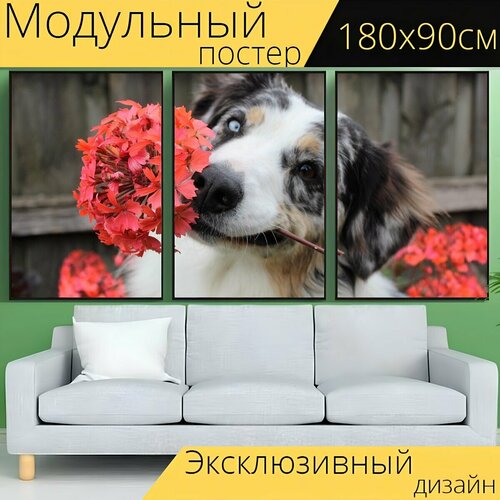 Модульный постер "Цветы, собака, пасти" 180 x 90 см. для интерьера