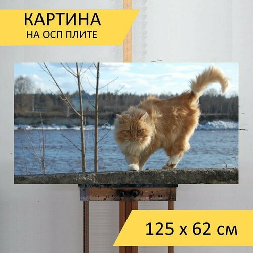 Картина на ОСП 125х62 см. "Животное, рыжий, кошка" горизонтальная, для интерьера, с креплениями