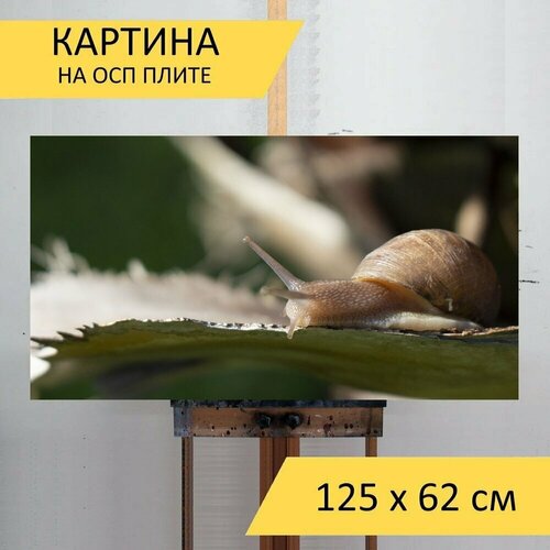 Картина на ОСП 125х62 см. "Улитка, этажи, медленный" горизонтальная, для интерьера, с креплениями