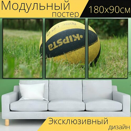 Модульный постер "Мяч, баскетбол, трава" 180 x 90 см. для интерьера