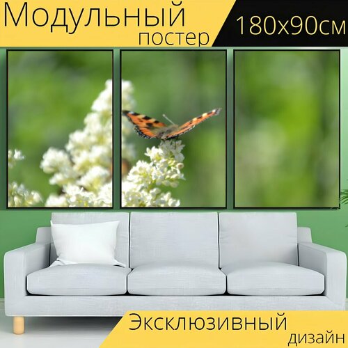 Модульный постер "Бабочка, адмирал, насекомое" 180 x 90 см. для интерьера
