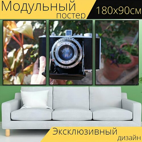 Модульный постер "Винтаж, камера, пленочные фотоаппараты" 180 x 90 см. для интерьера