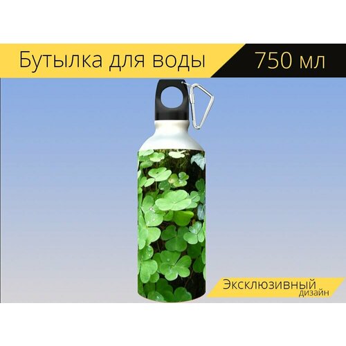 Бутылка фляга для воды "Клевер, четырёхлистный клевер, зеленый" 750 мл. с карабином и принтом