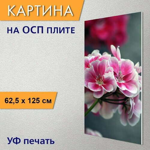 Вертикальная картина на ОСП "Герань, цветок, декоративное растение" 62x125 см. для интерьериа