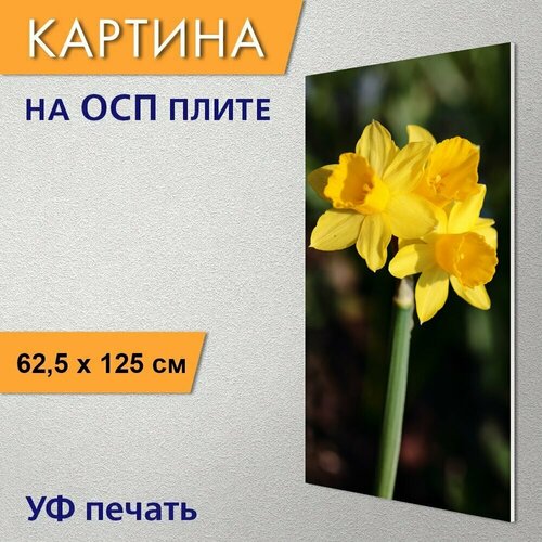 Вертикальная картина на ОСП "Нарцисс, цвести, цветы" 62x125 см. для интерьериа