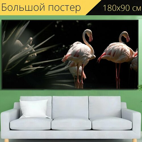 Большой постер "Фламинго, птицы, длинноногий" 180 x 90 см. для интерьера