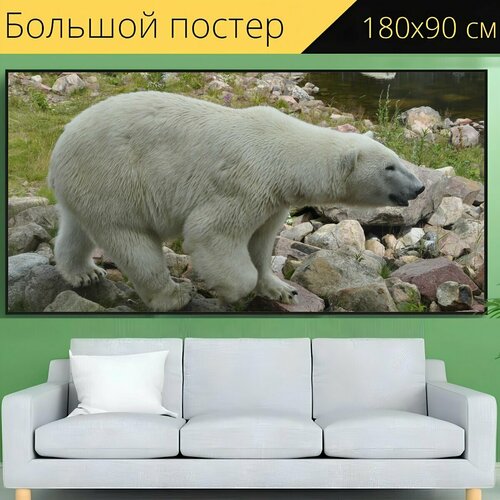 Большой постер "Полярный медведь, природа, животное" 180 x 90 см. для интерьера