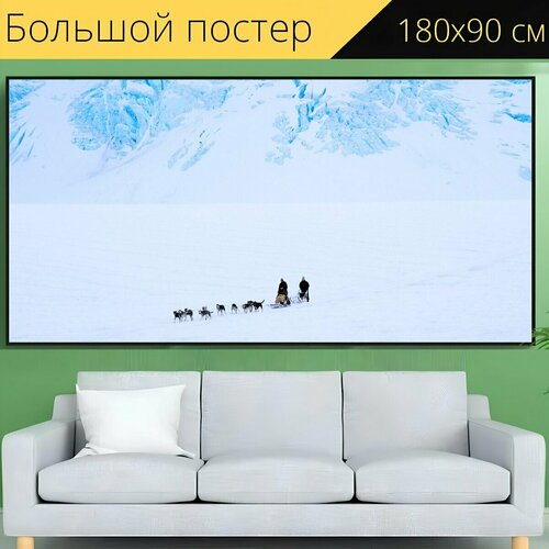 Большой постер "Собачьих упряжках, собаки, снег" 180 x 90 см. для интерьера
