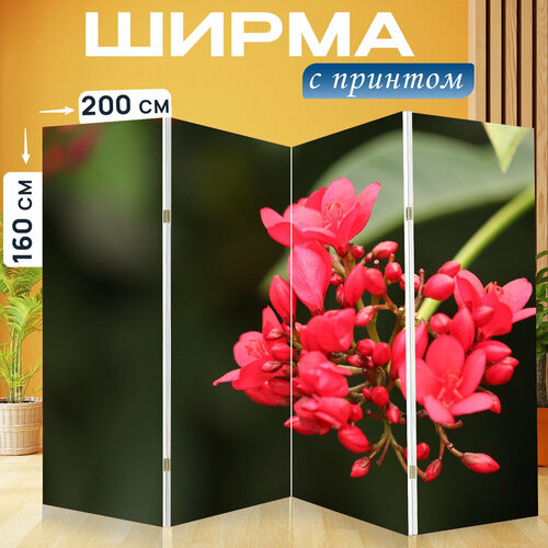 Ширма перегородка с принтом "Флора, цветы, природа" на холсте - 200x160 см. для зонирования, раскладная