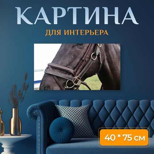 Картина на холсте "Лошадь, конные испытания, кросс кантри" на подрамнике 75х40 см. для интерьера