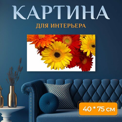 Картина на холсте "Хризантема, монеты кску, желтый" на подрамнике 75х40 см. для интерьера