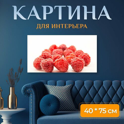 Картина на холсте "Малина, фрукты, витамины" на подрамнике 75х40 см. для интерьера