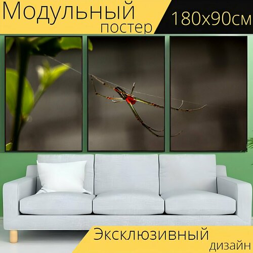 Модульный постер "Паук, насекомое, природа" 180 x 90 см. для интерьера