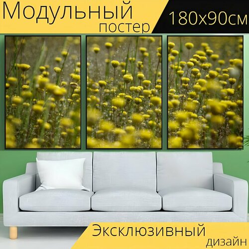 Модульный постер "Полевые цветы, поле, желтые цветы" 180 x 90 см. для интерьера
